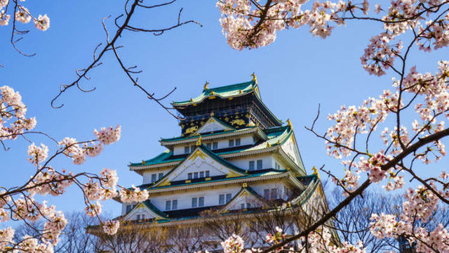 Osaka Spring Weather Guide: What to Wear and What to Expect | antenna[アンテナ]