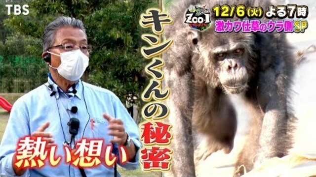 激カワ仕草のウラ側SP！キンくんの秘密に迫る!!『ZOO-1グランプリ』12/6(火)【TBS】 | antenna[アンテナ]