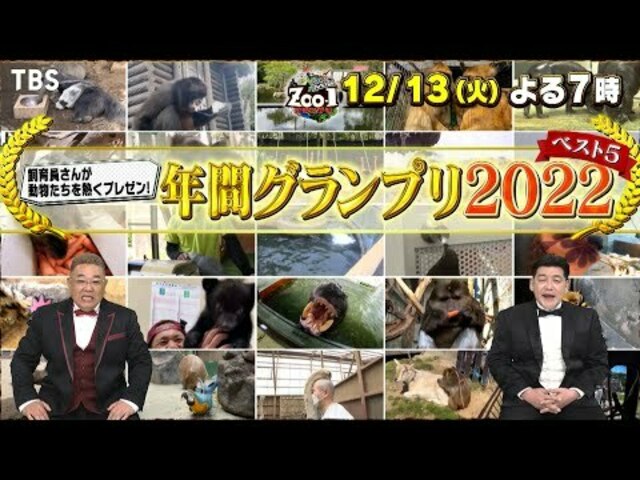 爆笑! 感動! 新たな魅力も!! ｢年間グランプリ2022｣発表!!『ZOO-1グランプリ』12/13(火)【TBS】 | antenna[アンテナ]