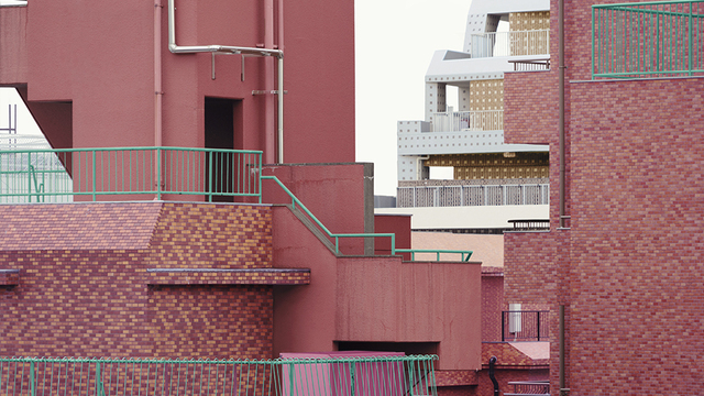 今月の写真家、今日の一枚。安藤 瑠美 vol.10 | & Premium (アンド プレミアム) | antenna[アンテナ]