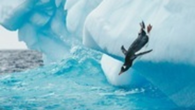 「Linux」で「Guake」トップダウンターミナルを使用するには--作業効率を向上 | antenna[アンテナ]