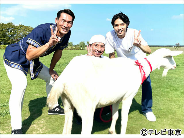 磯村勇斗と槙野智章、ヤギの雑草モグモグ旅に登場。舞台は日本で2番目に大きな湖・霞ヶ浦のあるかすみがうら市 | antenna[アンテナ]