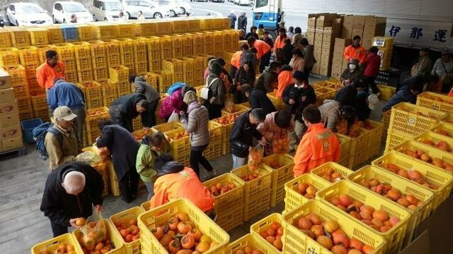 Enjoy persimmons in Japan's best persimmon town! Persimmon festival ...