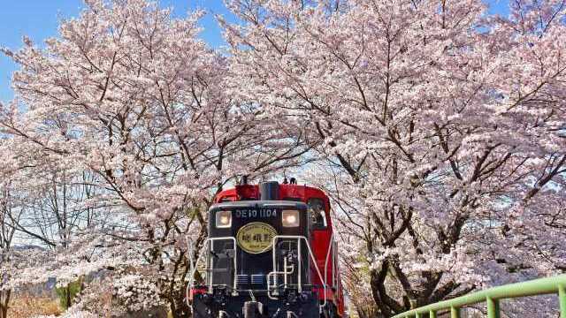 【大人編】京都の遊ぶところ2024 とっておきのおすすめスポット13選！ | antenna[アンテナ]