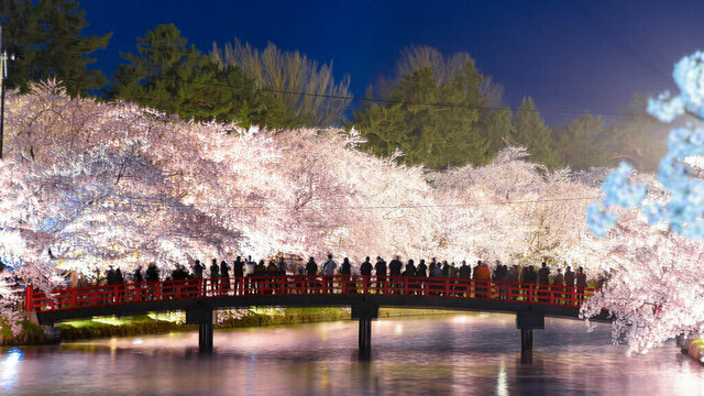 【青森県 2024年版】 春の絶景・風物詩10選 日本屈指 爛漫と咲き誇る弘前城の桜並木 | antenna[アンテナ]