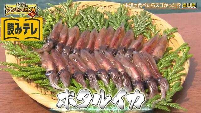 【富山県】ホタルイカを最高に美味しく食べる、富山県民激推しの3つの方法！ | antenna[アンテナ]