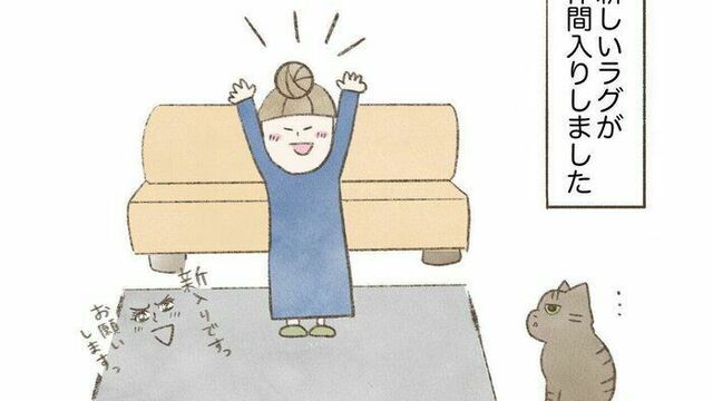 猫たちからOKは出るのか⁉ 家具を新調したときの毎度の悩み【連載】交通事故にあった猫を拾いました#164 | antenna[アンテナ]
