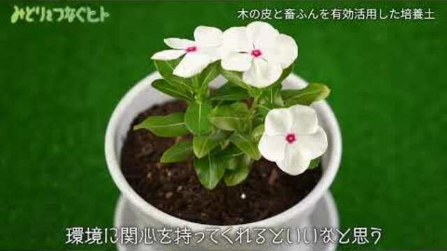 みどりをつなぐヒト#90 木の皮と畜ふんを有効活用した培養土 エコロ 内山雅仁 | antenna[アンテナ]