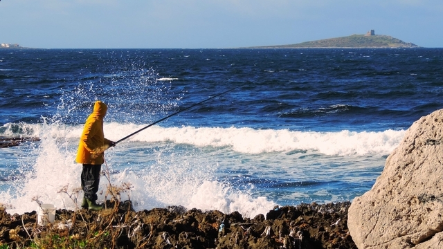 シマノ BB-X テクニウム ファイアブラッド：究極の磯釣りリールを徹底レビュー | antenna[アンテナ]