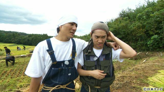 「ザ！鉄腕！DASH!!」TOKIO＆森本慎太郎＆藤原丈一郎がDASH村で大収穫祭！ | antenna[アンテナ]