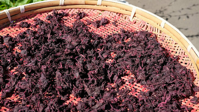 手をかけずに庭で育った赤シソで漬ける、梅干し。ジュース、酵素シロップも | antenna[アンテナ]