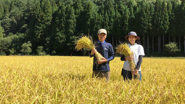 2025年度の「世界最高米(R)」原料玄米が決定！今年度は長野県、岐阜県から4品を認定 | antenna[アンテナ]