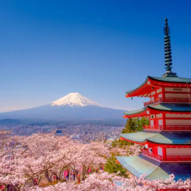 Spring Season in Japan: Festivals, Holidays, Events, and Tips (March ...