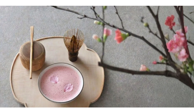 桜を飲む。ノンカフェインのピンク抹茶 「SAKURA MATCHA」発売 | antenna[アンテナ]